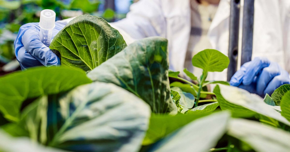 Foodtech | Invest in Skåne